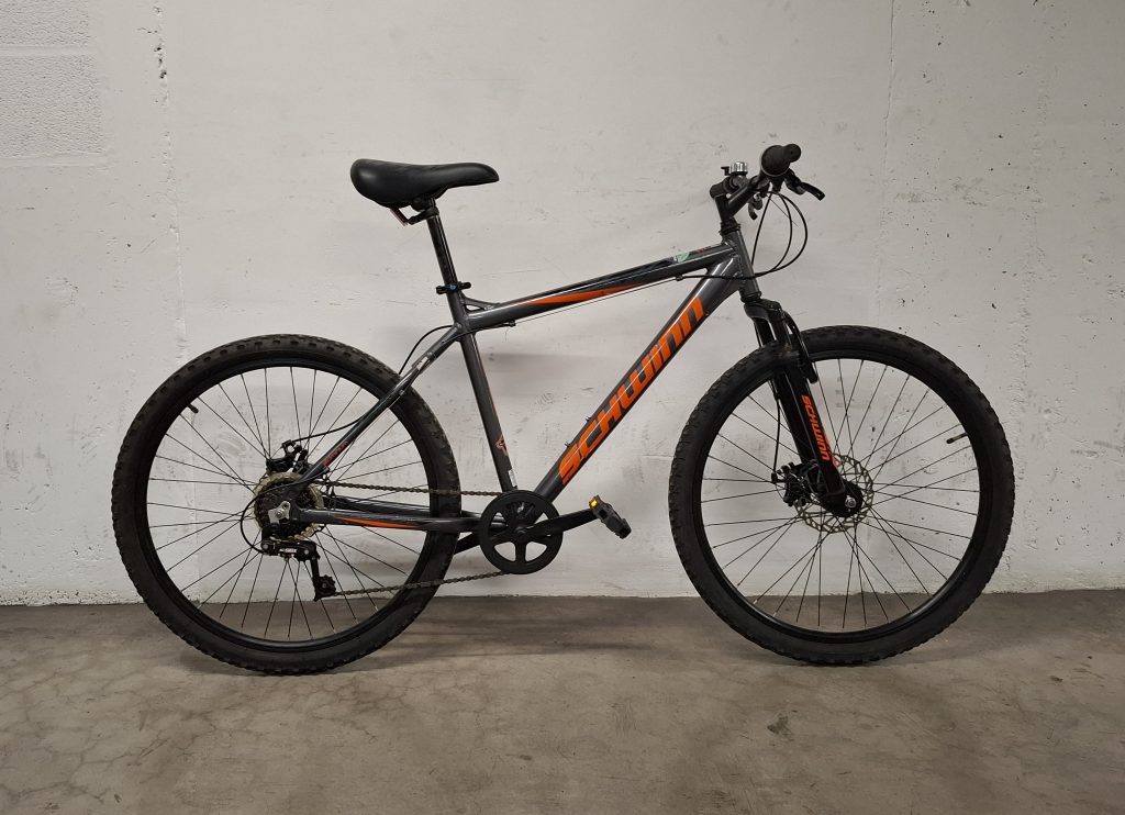 600 – Schwinn Surge — Bike recycling — Bike Worcester