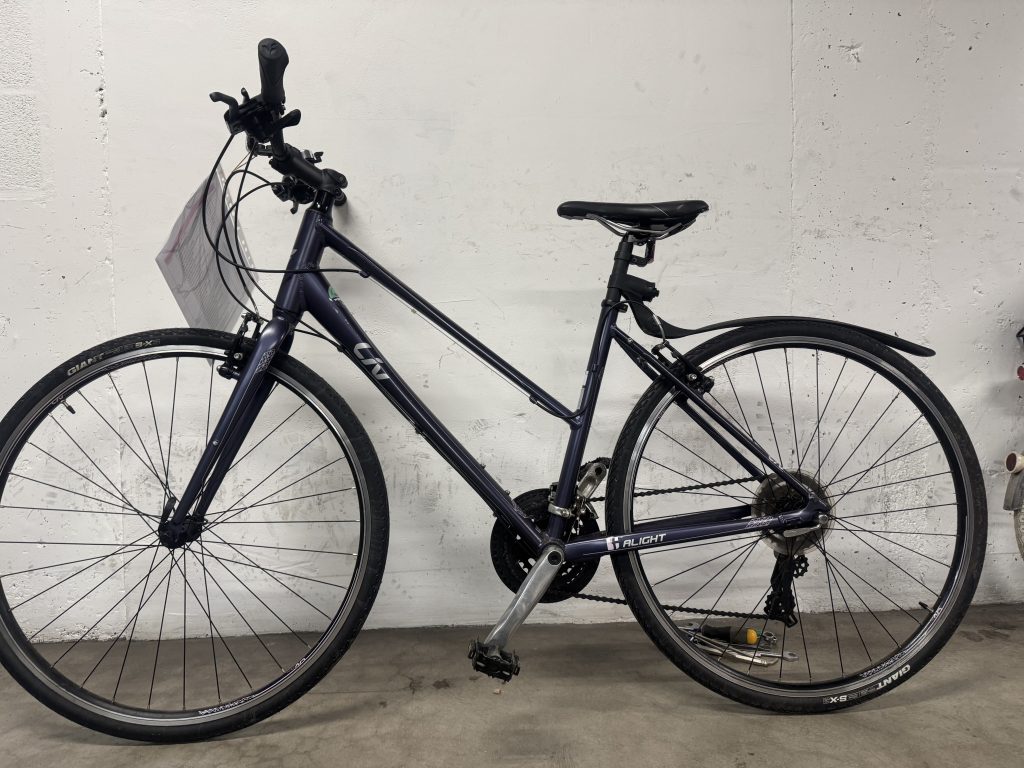 697 – Liv Alight — Bike recycling — Bike Worcester